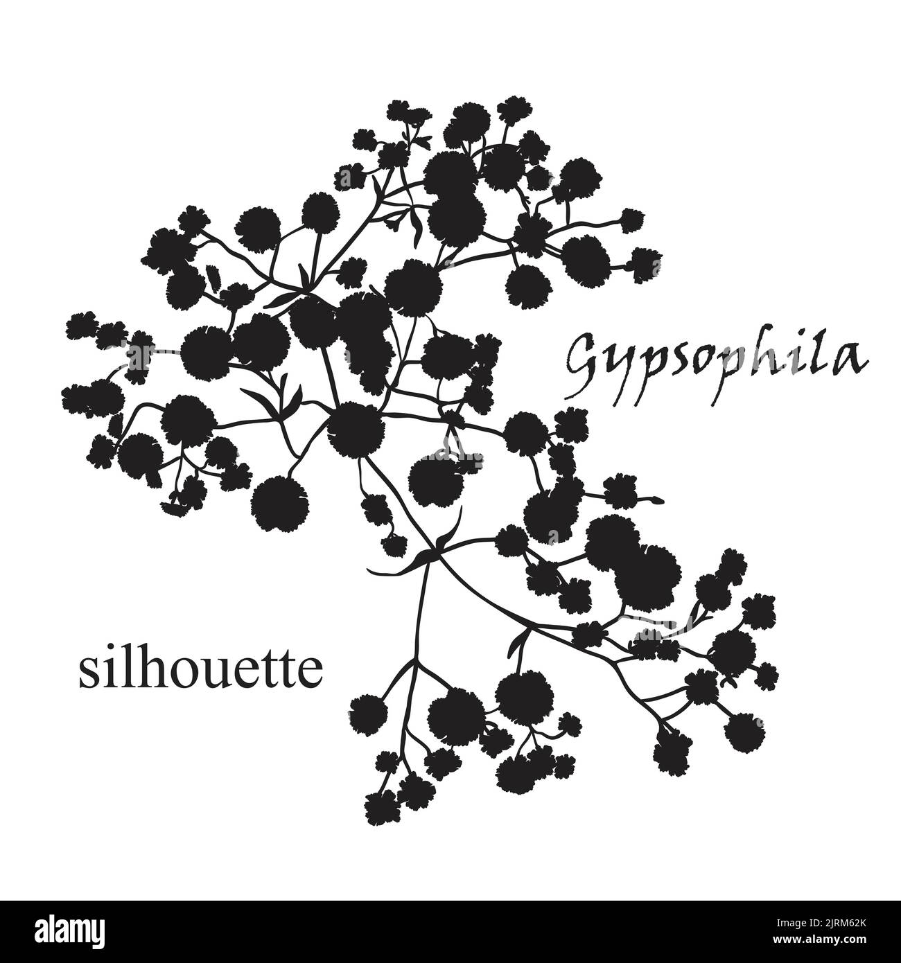 Branch of beautiful hand-drawn silhouette gypsophila Stock Vector Image ...
