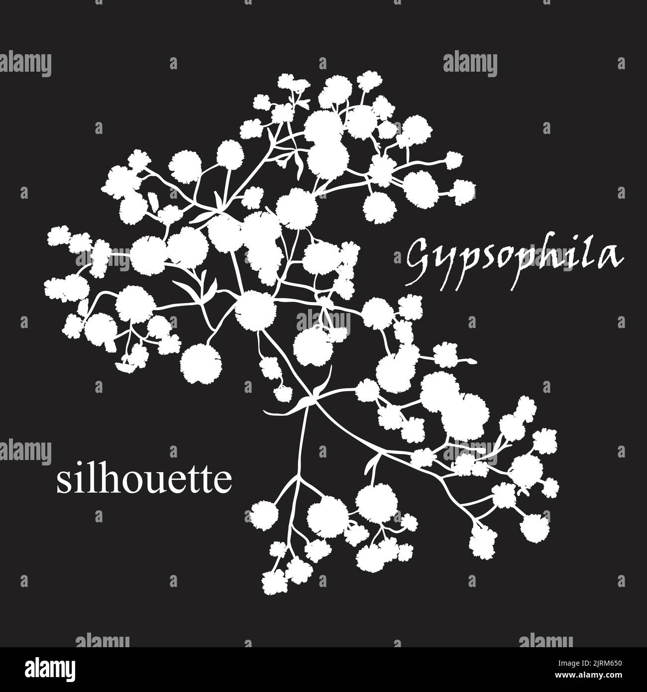Branch of beautiful hand-drawn silhouette gypsophila Stock Vector Image ...