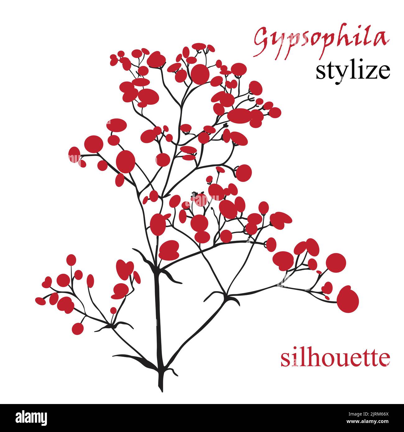 Branch of beautiful hand-drawn silhouette gypsophila Stock Vector Image ...