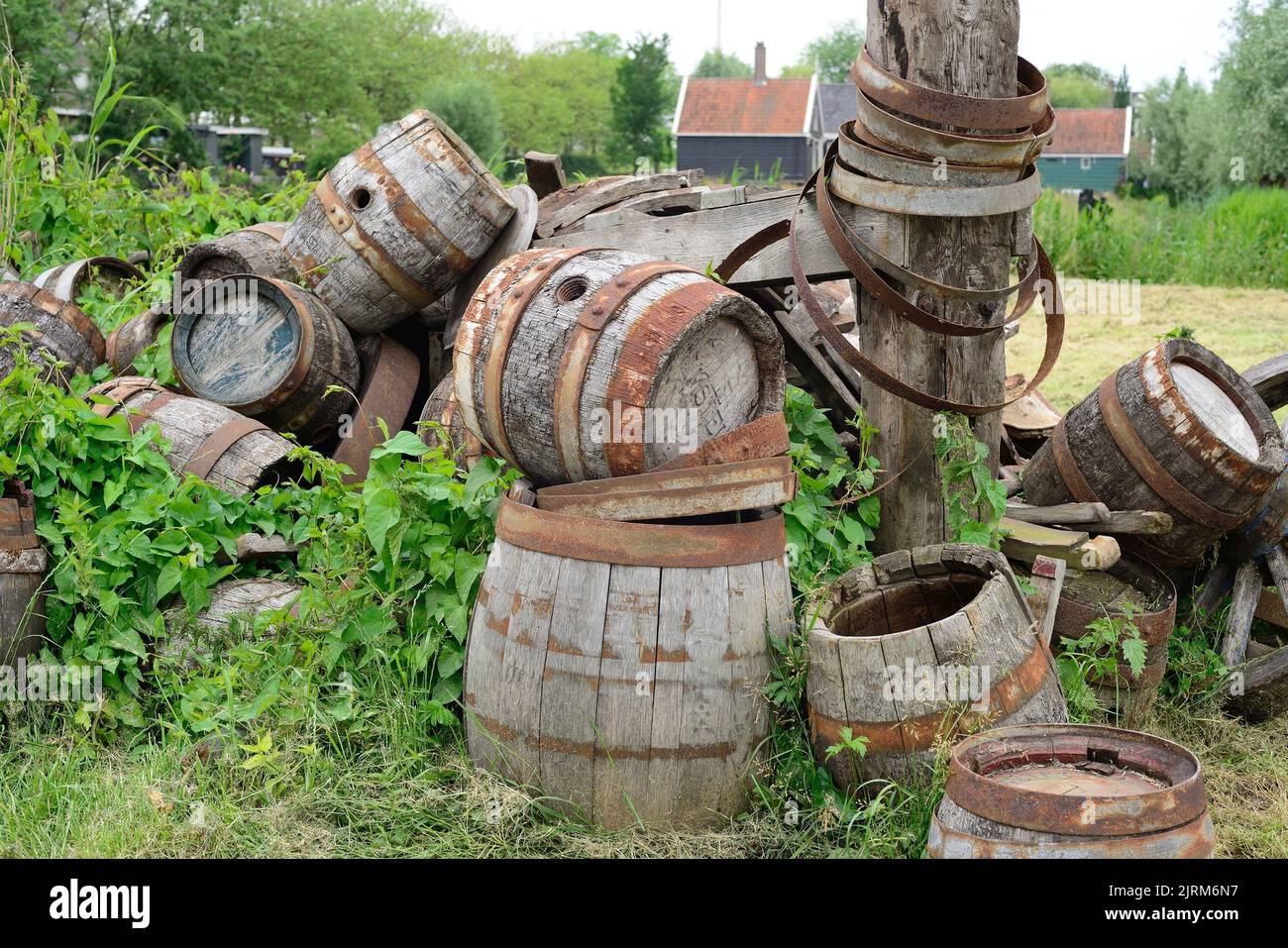 A batch of old wooden broken barrels gathered Stock Photo - Alamy A batch of old wooden broken barrels gathered Stock Photo - Alamy