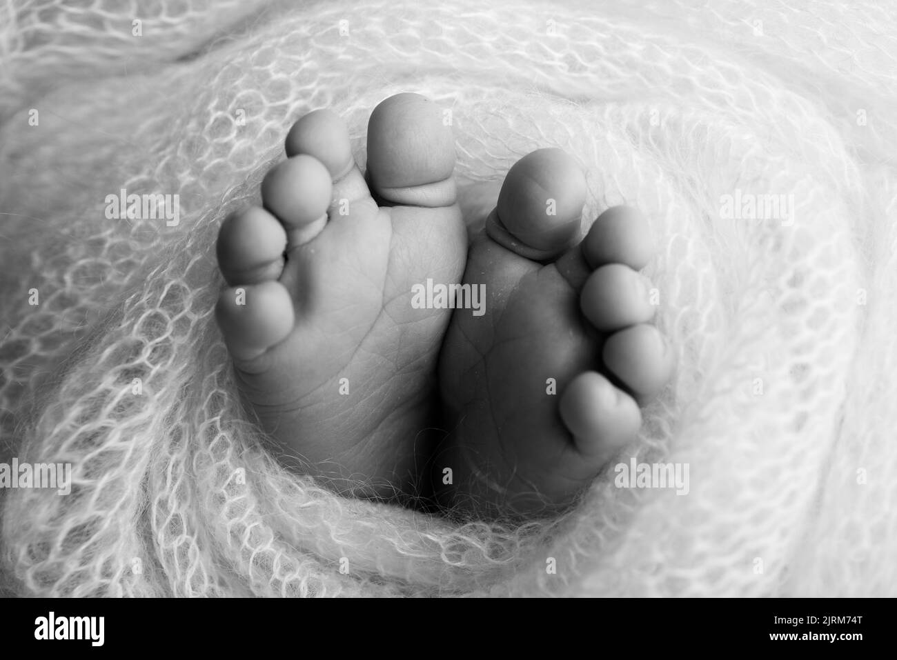 Soft feet of a newborn in a blanket Close-up of toes, heels and feet of ...