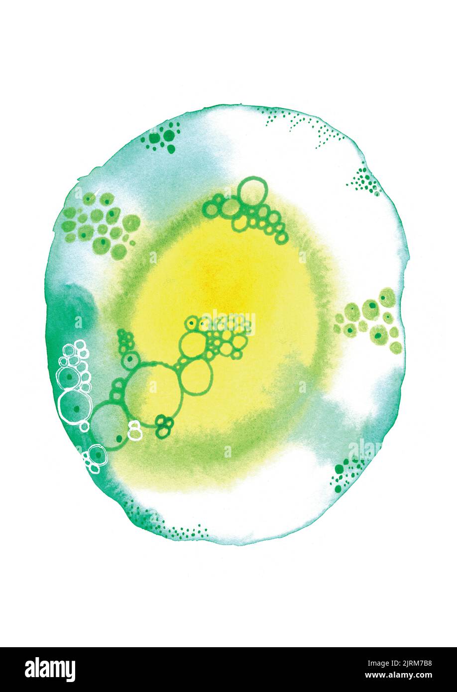 green and white art, bright field microscopy inspired, abstract ...
