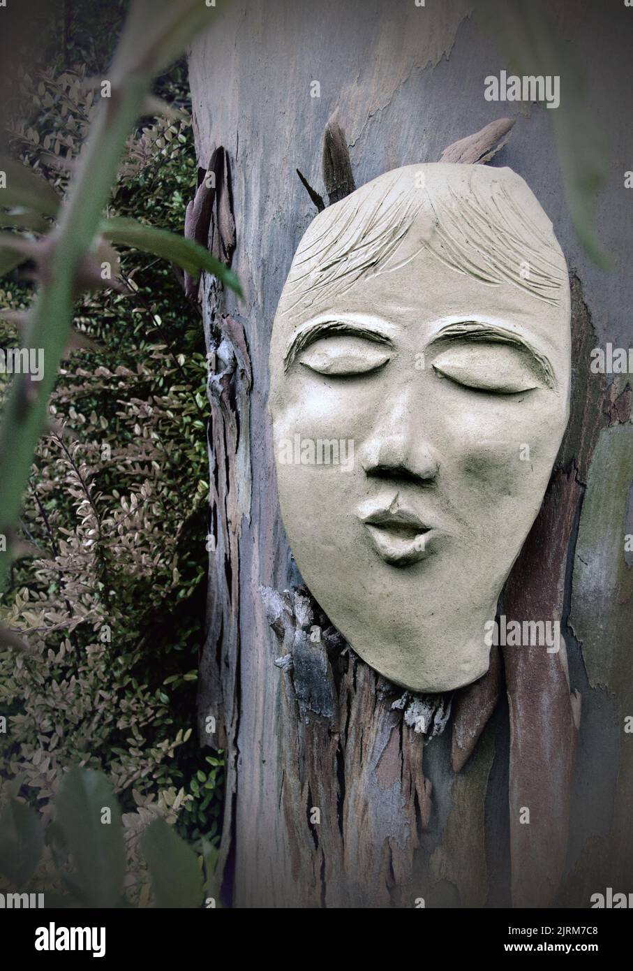 plaster facial mask statue attached to tree trunk Stock Photo - Alamy