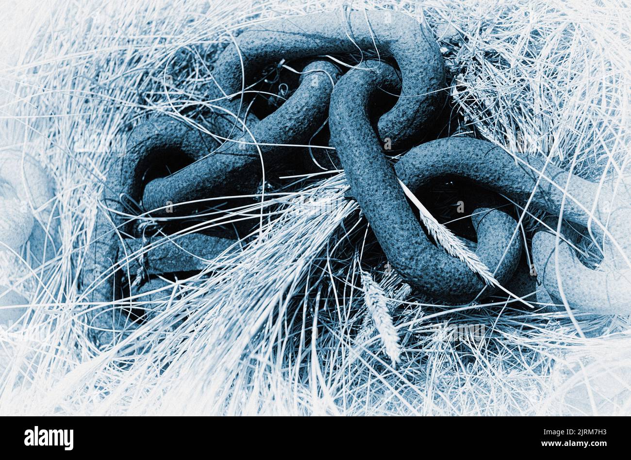 Monster without people hi-res stock photography and images - Alamy