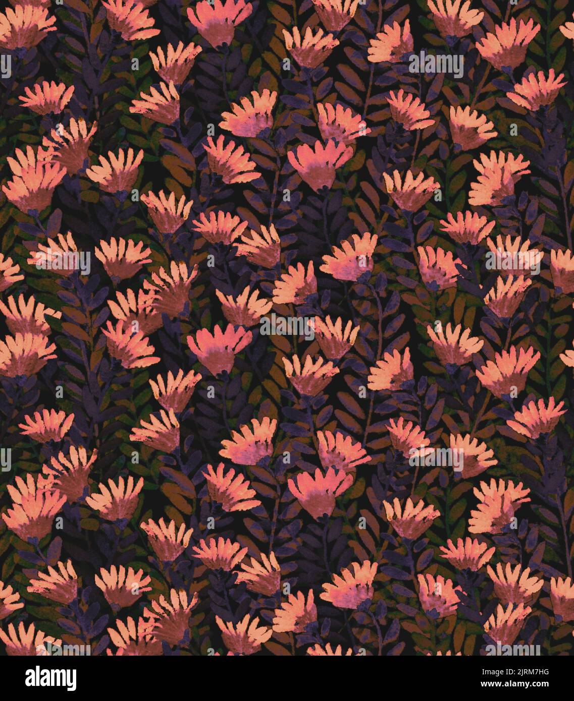 Botanical print lilly hi-res stock photography and images - Alamy