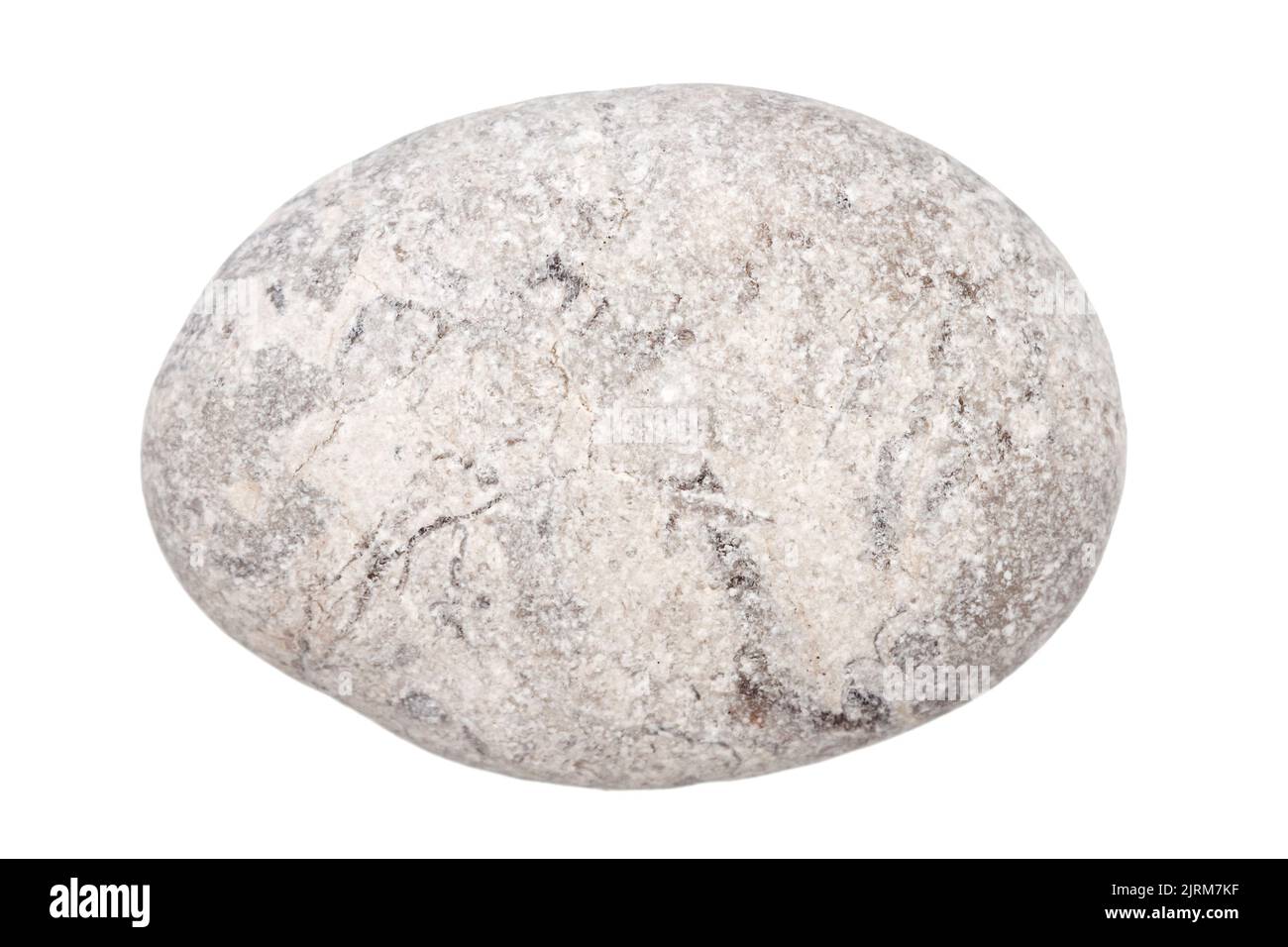 Top view of single gray pebble isolated on white background Stock Photo ...