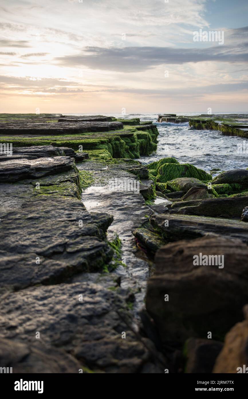 A beautiful vertical shot of rocks on a beach at sunset Stock Photo - Alamy