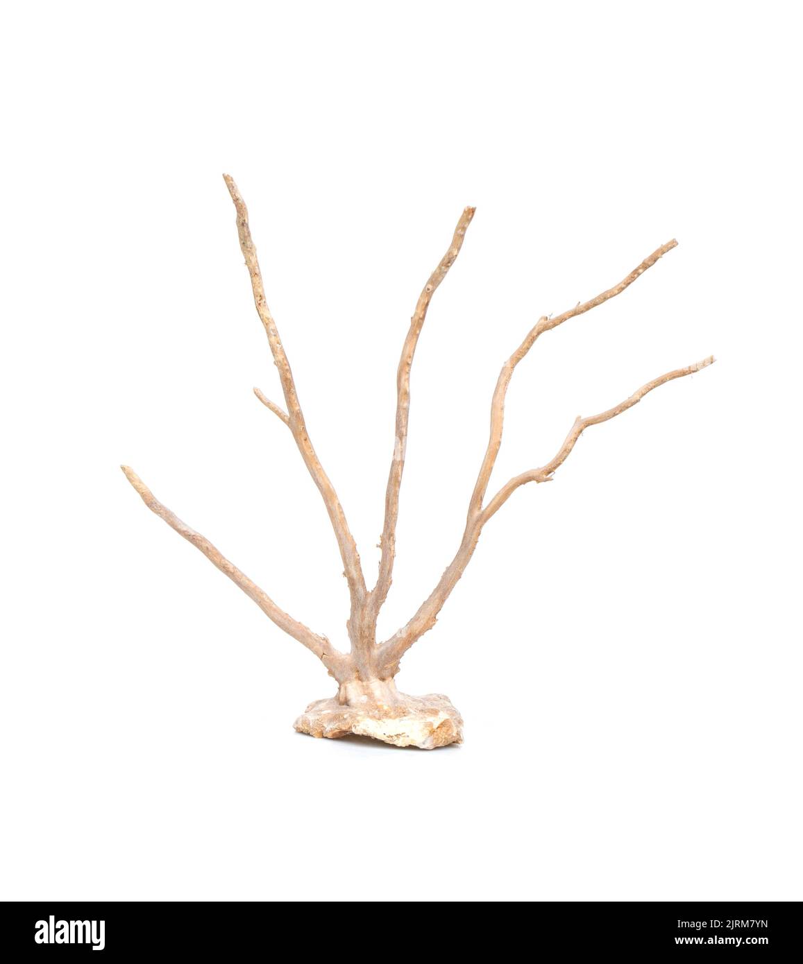 Natural texture photography Cut Out Stock Images & Pictures - Alamy