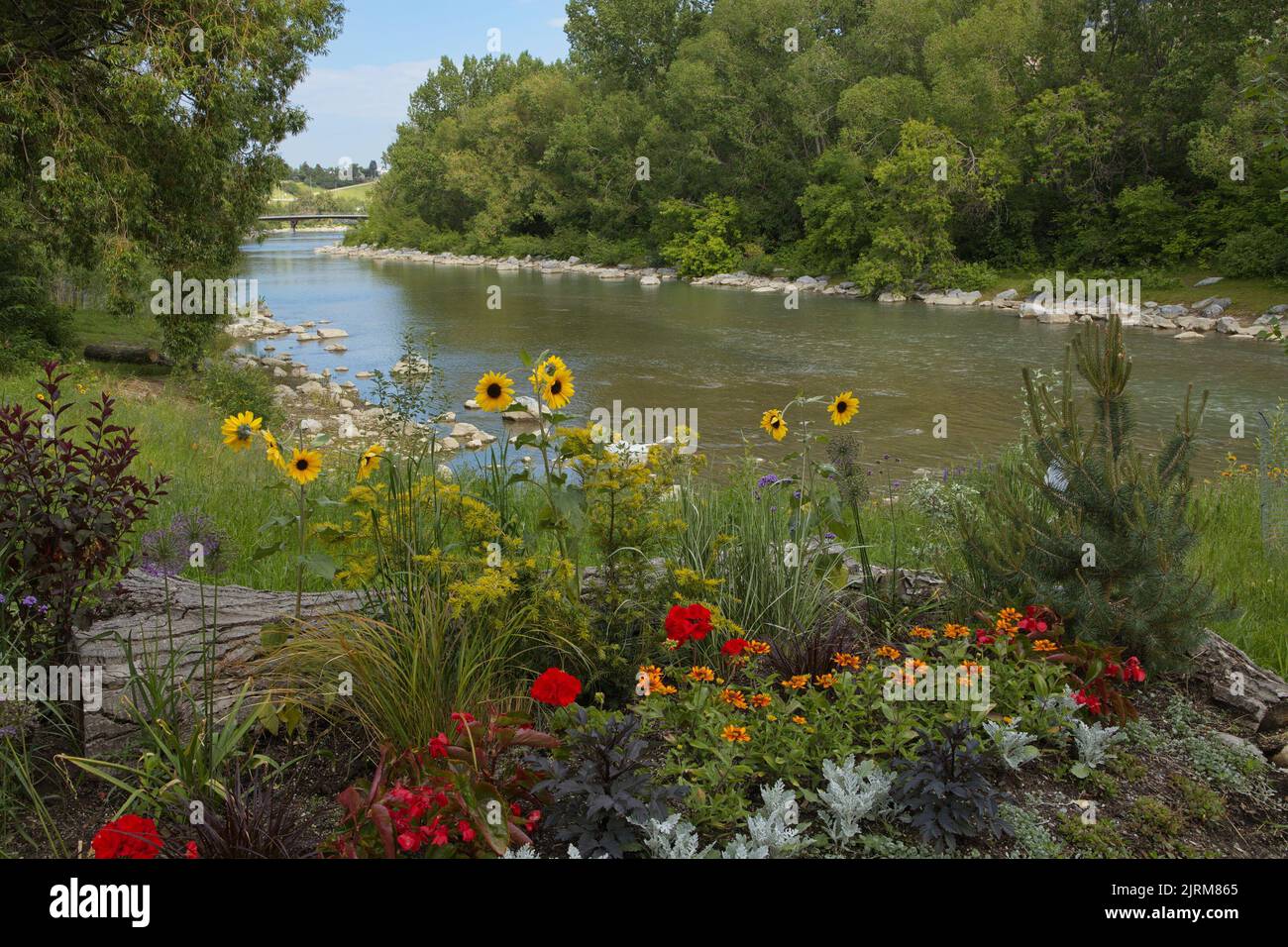 Bow River in Calgary,Alberta Province,Canada,North America Stock Photo ...
