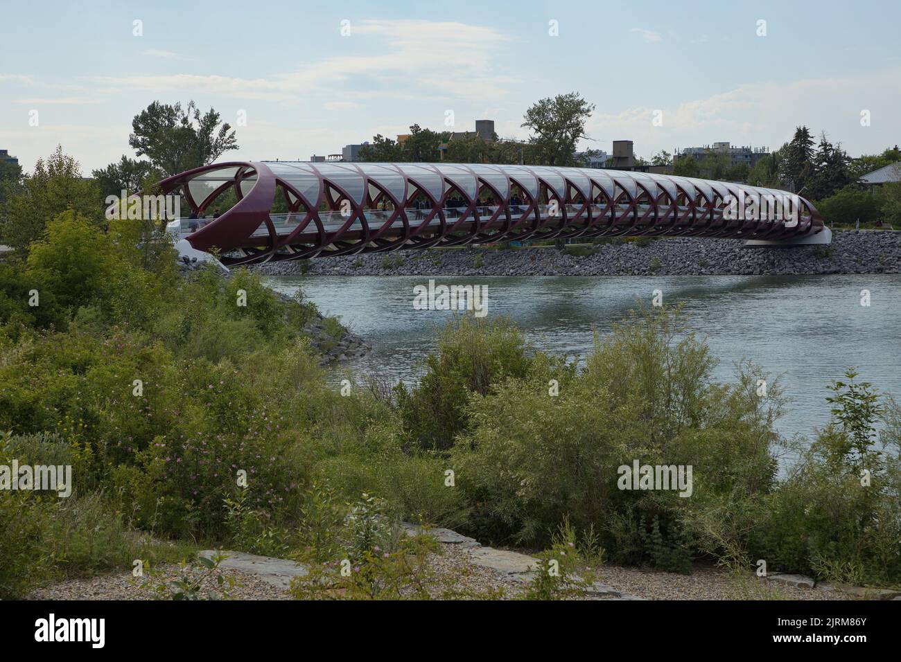 Peace Bridge over Bow River in Calgary,Alberta Province,Canada,North ...