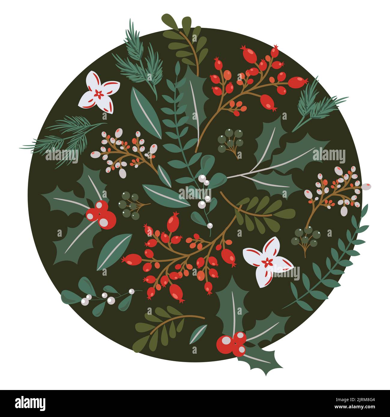 Christmas greeting card round composition of festive winter berries ...