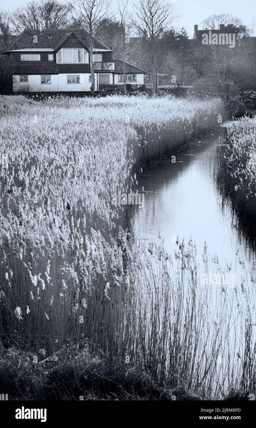 coastal reed filled ditch walberswick suffolk england Stock Photo - Alamy