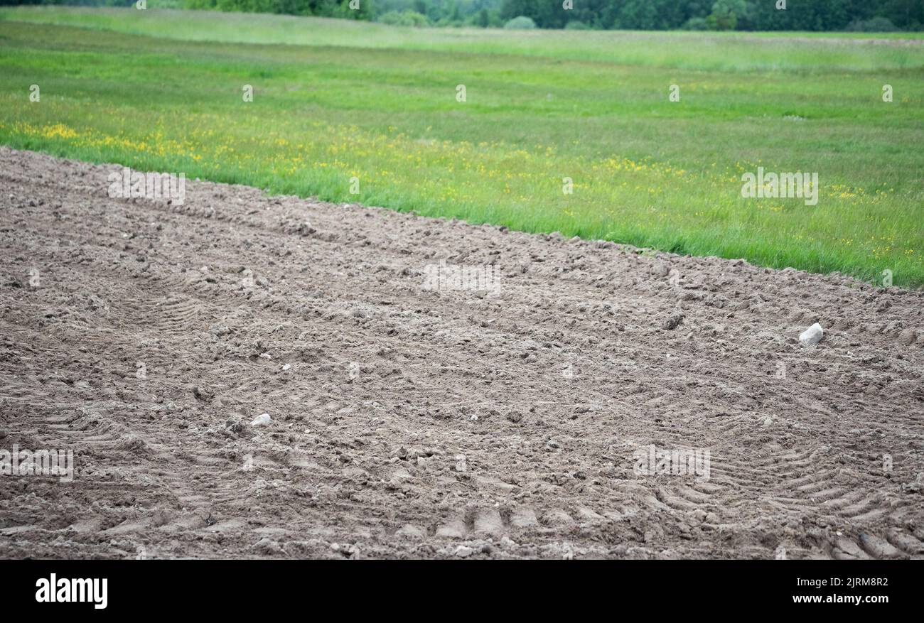 A cultivated field. Land prepared for sowing grain. Freshly cultivated ...