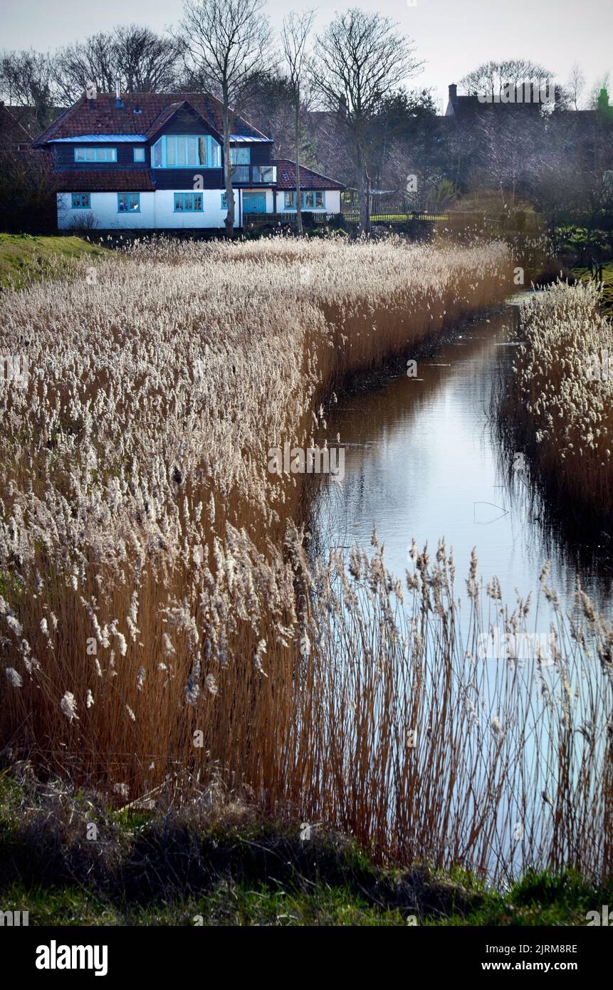 coastal reed filled ditch walberswick suffolk england Stock Photo - Alamy