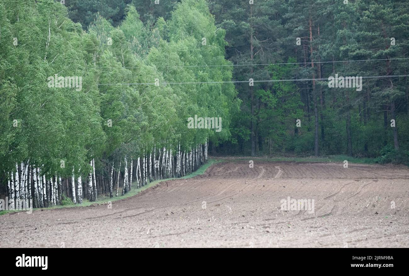 A cultivated field. Land prepared for sowing grain. Freshly cultivated ...