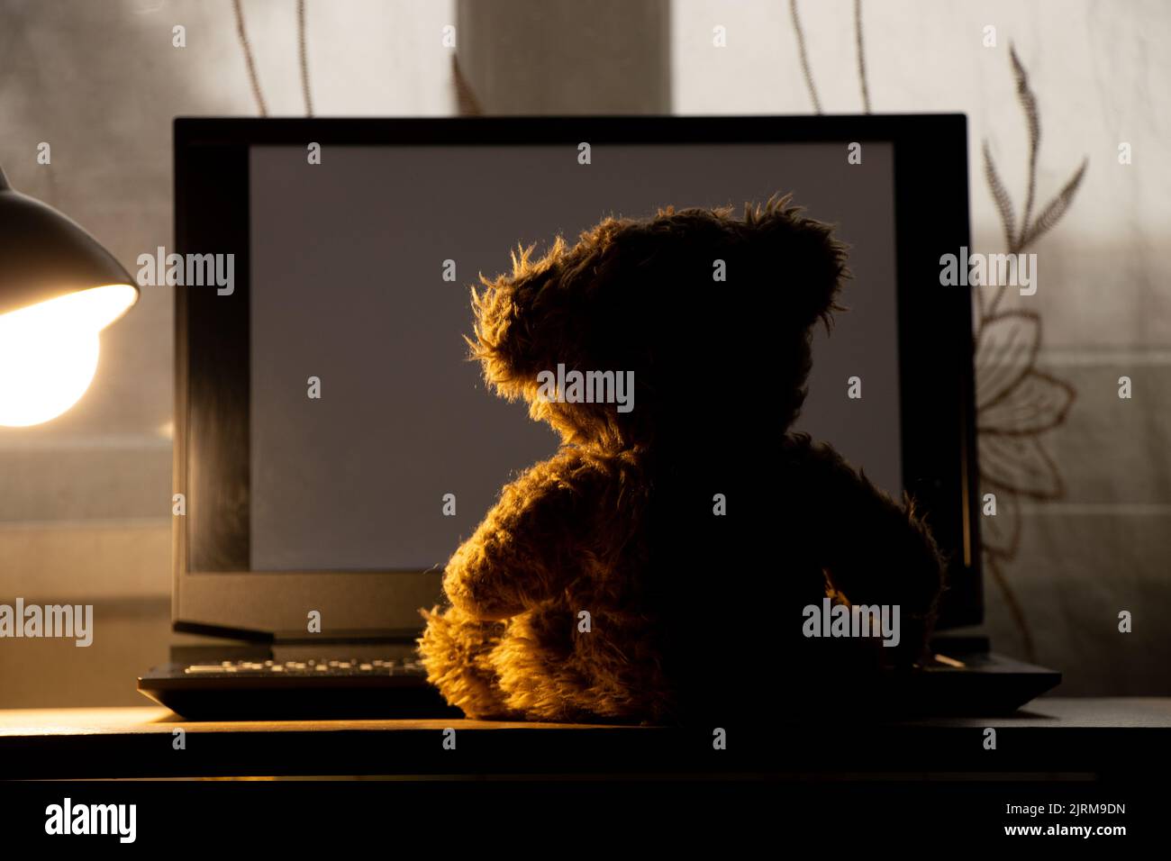 teddy bear for children sits carrying a laptop on the table, carrying a ...