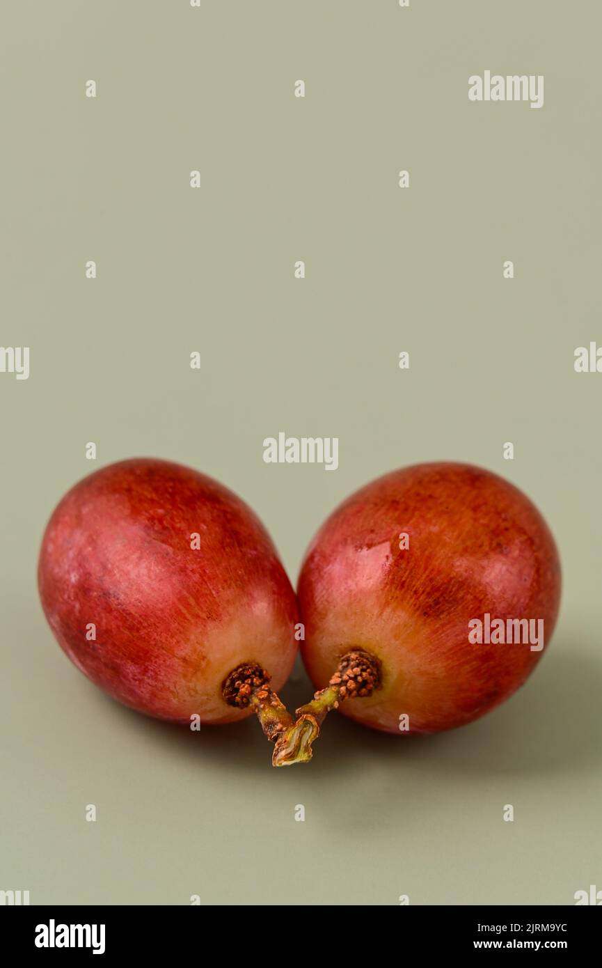 Two Red Grapes on a plain background Stock Photo - Alamy