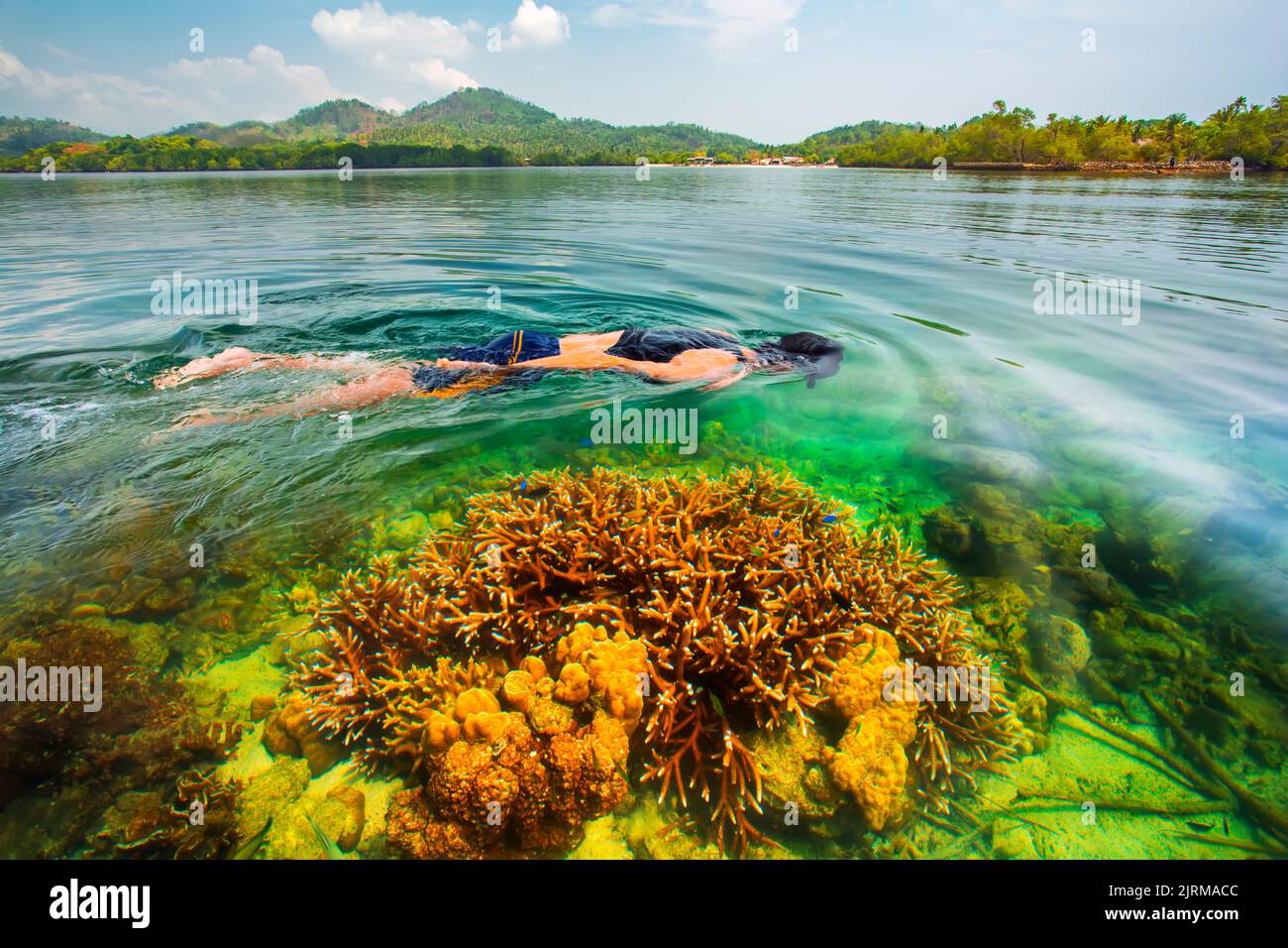 enjoy a tropical beach vacation. swim and enjoy the beauty of coral ...