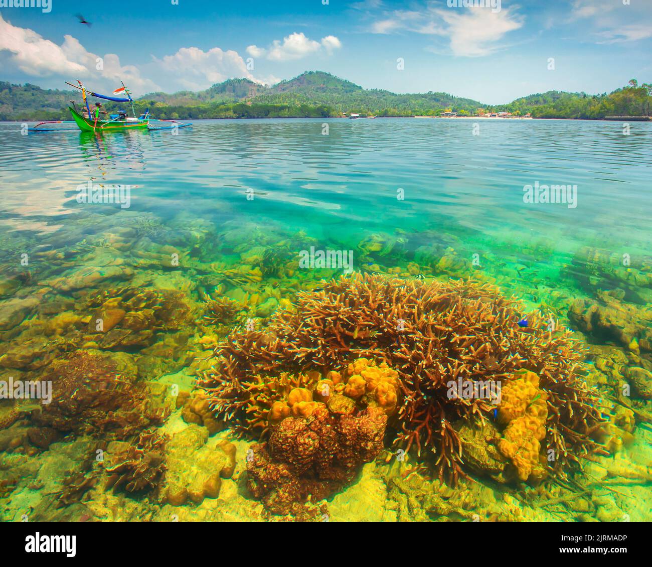enjoy a tropical beach vacation. enjoy the beauty of coral reefs ...