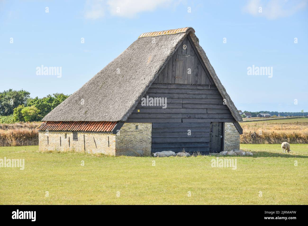 Texel, Netherlands. August 2022. An original sheep barn on Texel. High ...