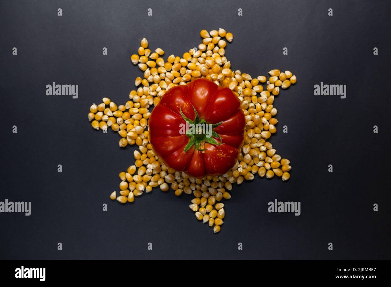Raw tomato and corn, tomato on the corns isolated on black background ...