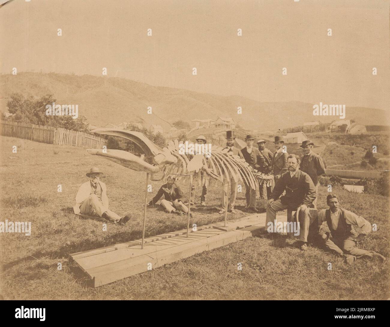 Including james hector group with hi-res stock photography and images ...