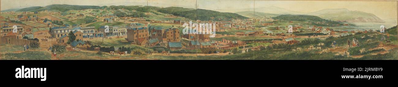 View of Dunedin, Otago, N.Z., 1900s, New Zealand, by Walter Scarlett ...