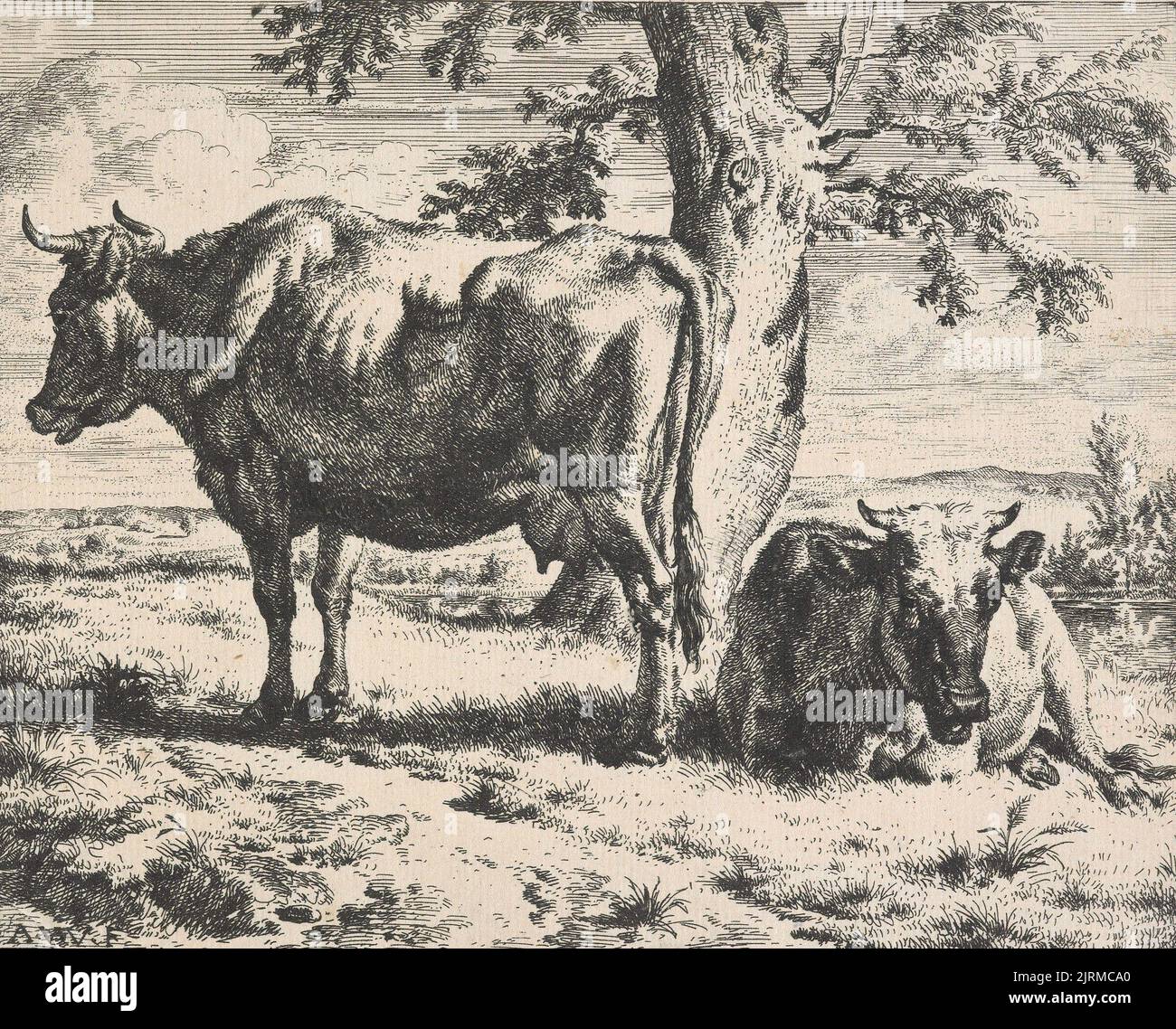 Two cows under a tree cows and sheep hi-res stock photography and ...