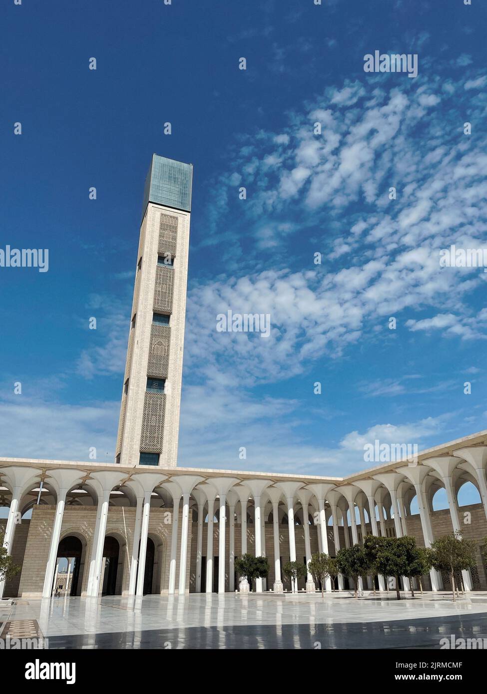 Illustration of the Great Mosque of Algiers (Djamaa el Djazaïr) in ...