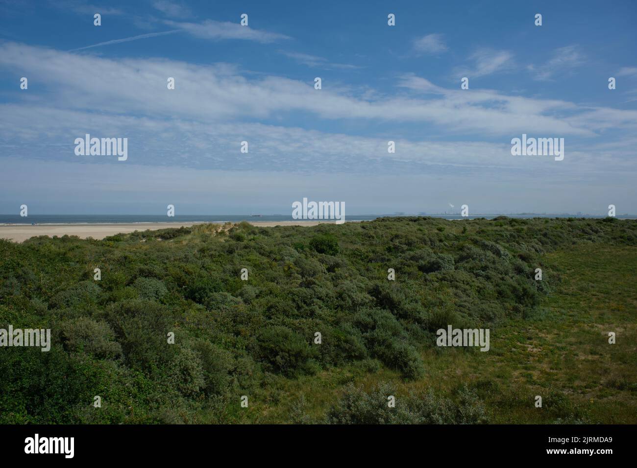 Bicycle tour at the North Sea dunes in Renesse, Netherlands Stock Photo ...