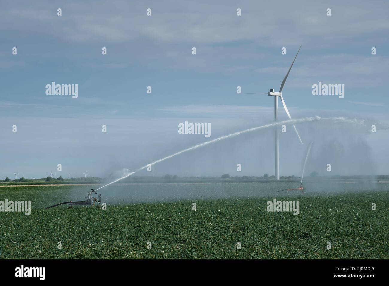 Irrigation sprinkler on farmland in front of a wind park with wind ...