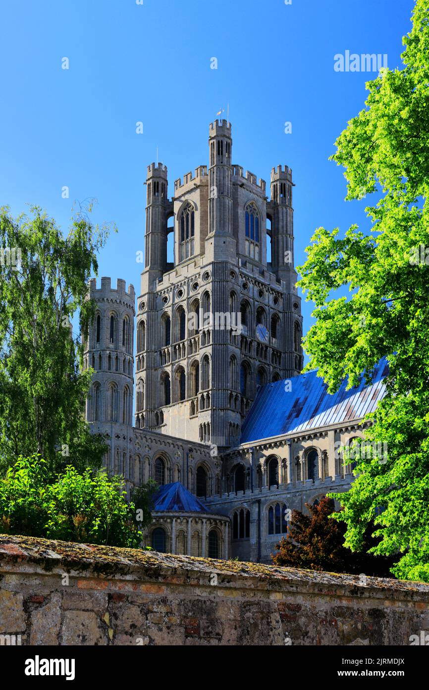 Summer view over Ely Cathedral; Ely City; Cambridgeshire; England; UK ...