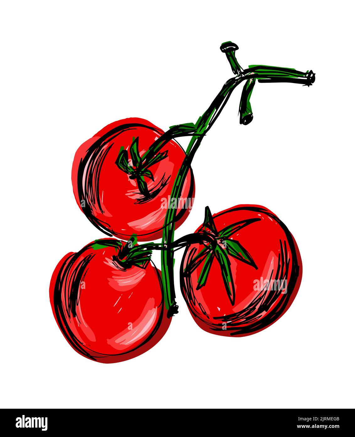 Hanging Tomatoes Stock Vector Images Alamy