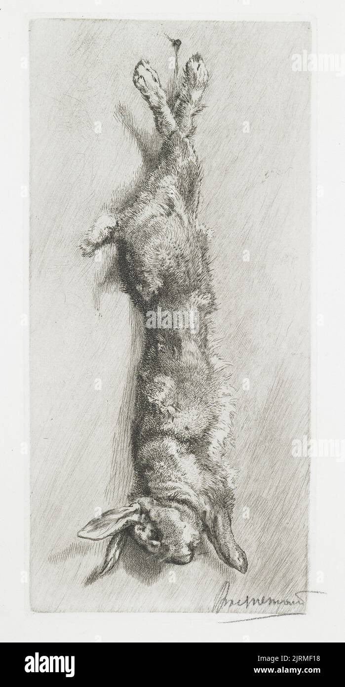 Le lapin de garenne (The wild rabbit)., 1870s, France, by Felix ...