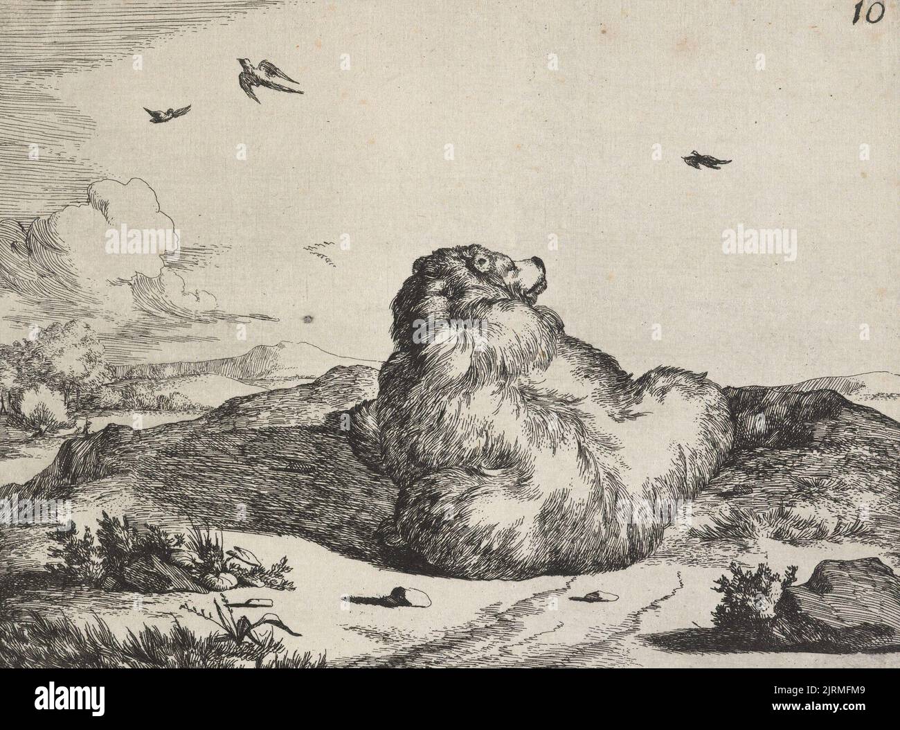 The set of the bears. Untitled plate 10, 1664, Netherlands, by Marcus ...