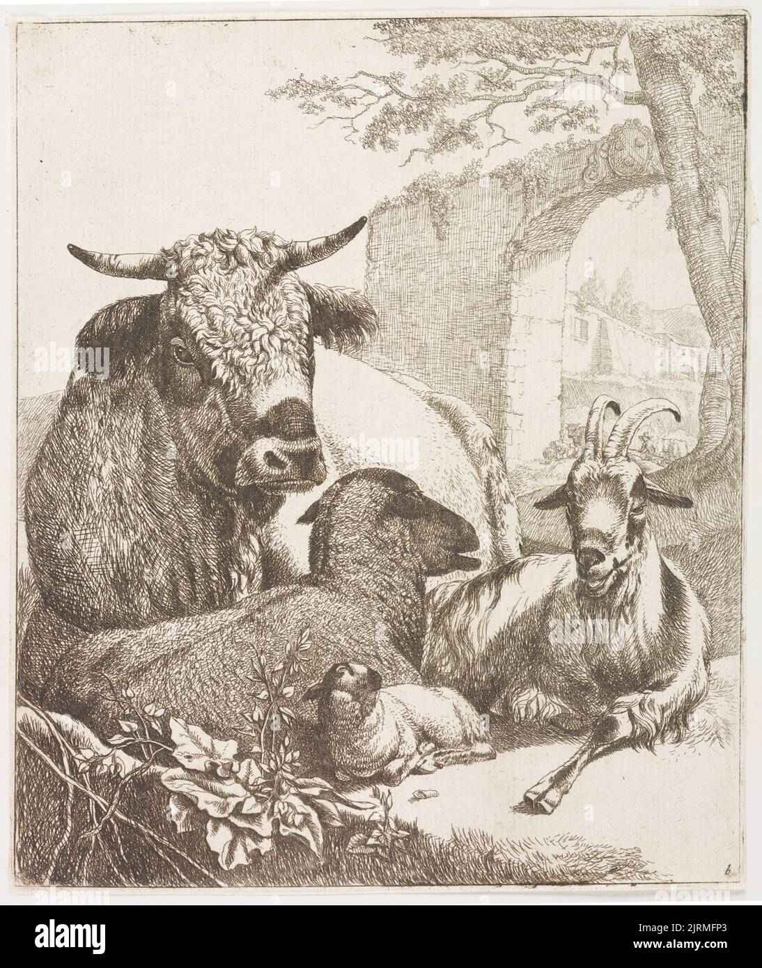 Sheep, goats and cows series: Recumbent bull, c. 1668-70, by Johann ...