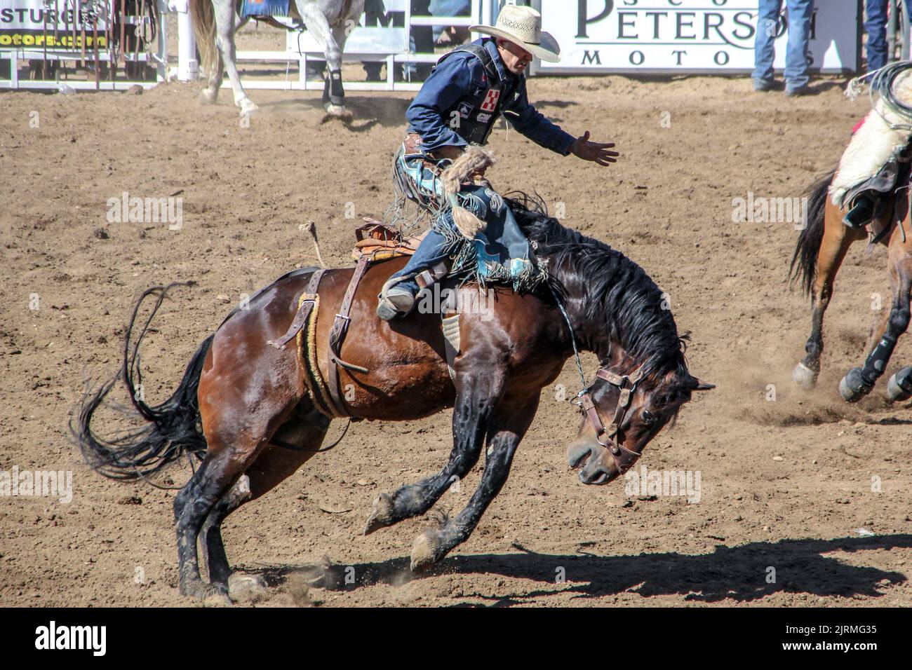 Belle fourche south dakota hi-res stock photography and images - Alamy