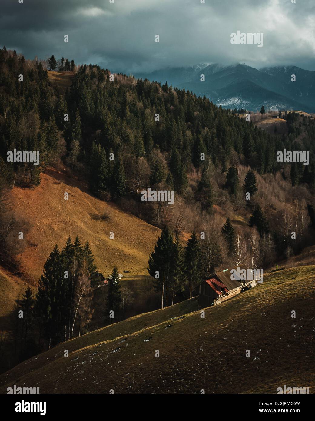 The vertical view of a house in the valley with trees under the cloudy ...