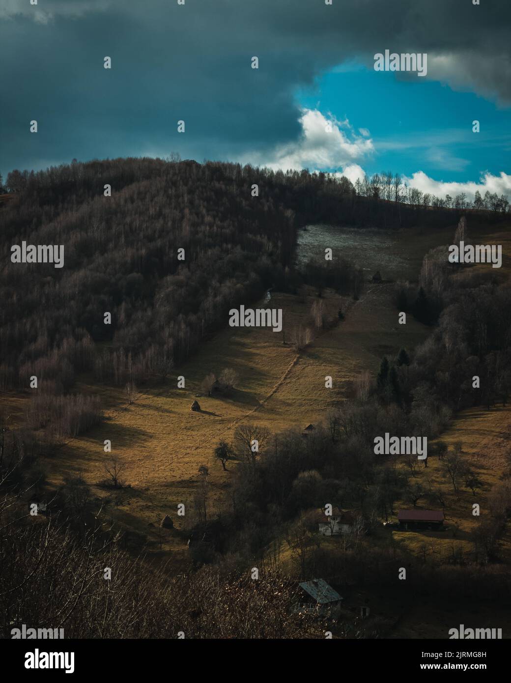 The vertical aerial view of the trees on the slope under the cloudy sky ...