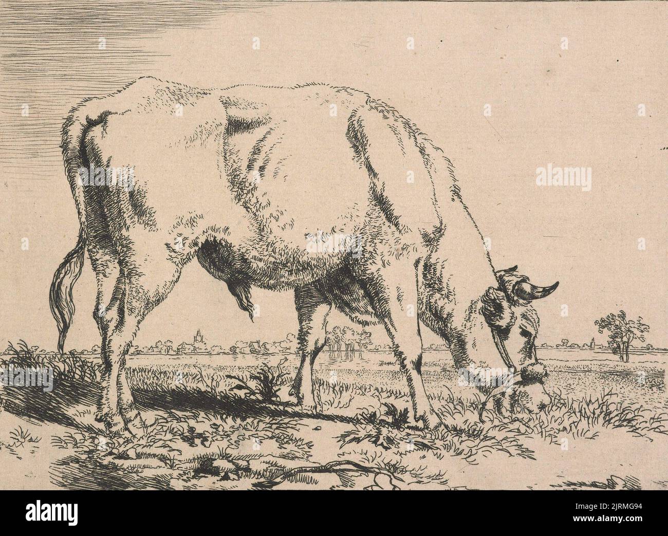 No title. (Cattle study.), circa 1798, Netherlands, by Pieter van Os ...