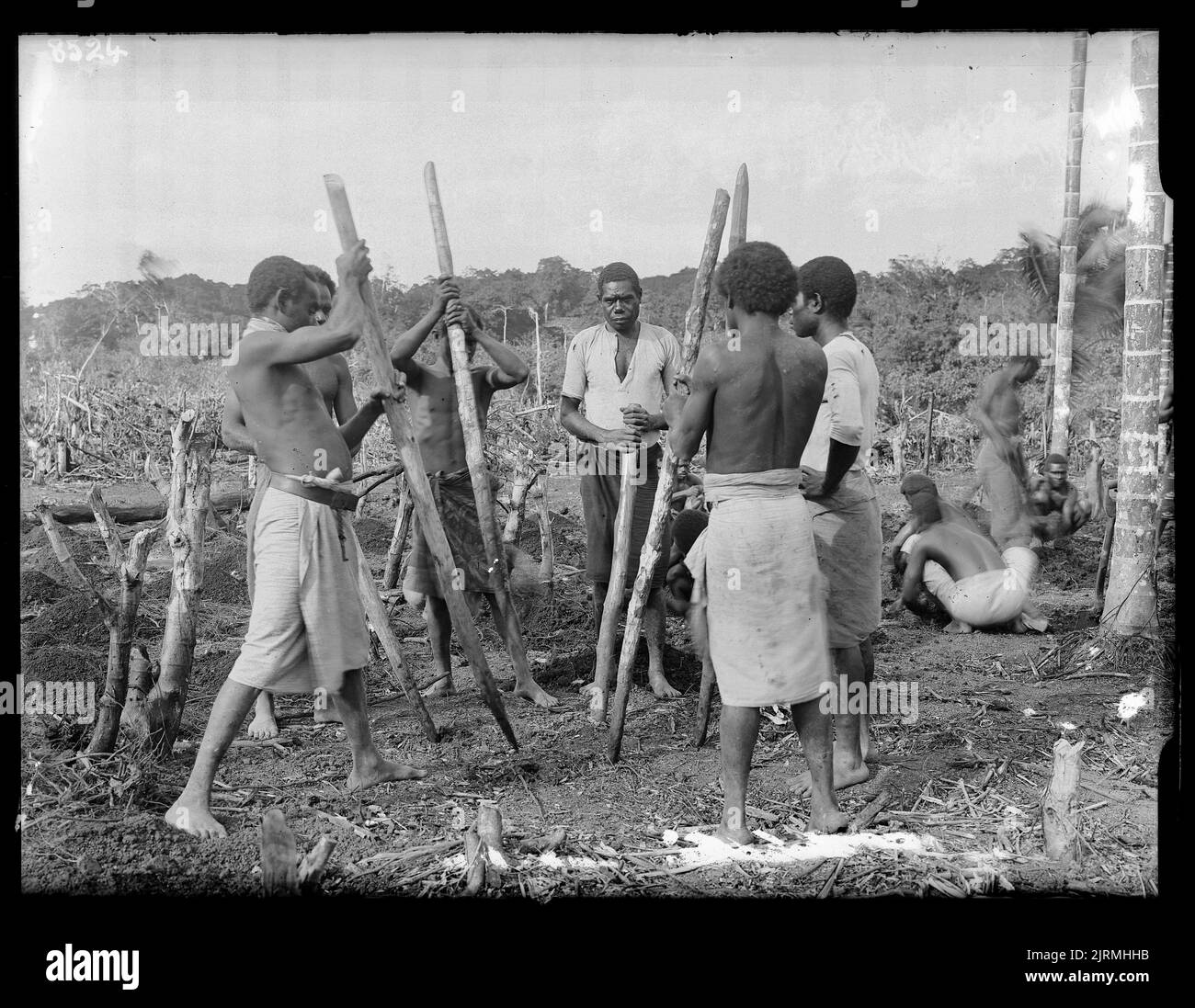 Work Gang Planting Yams, circa 1894-1903, by Reverend John Arthur Crump ...