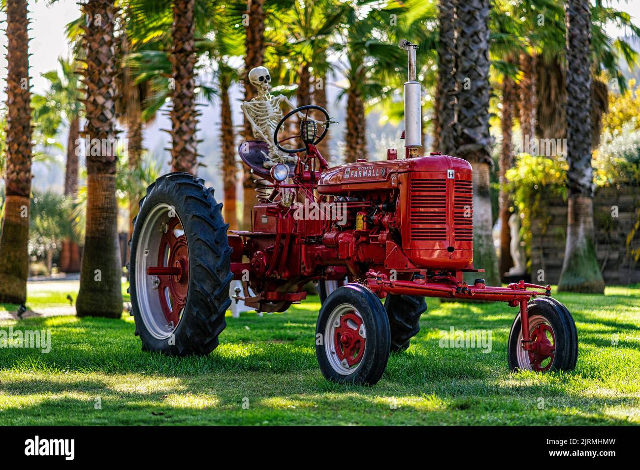 A skeleton sits behind the wheel of a red tractor during the Halloween ...