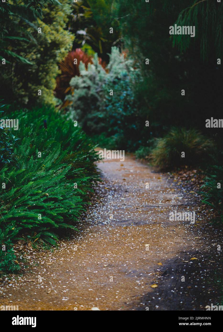 A vertical shot of a pathway in a park Stock Photo - Alamy