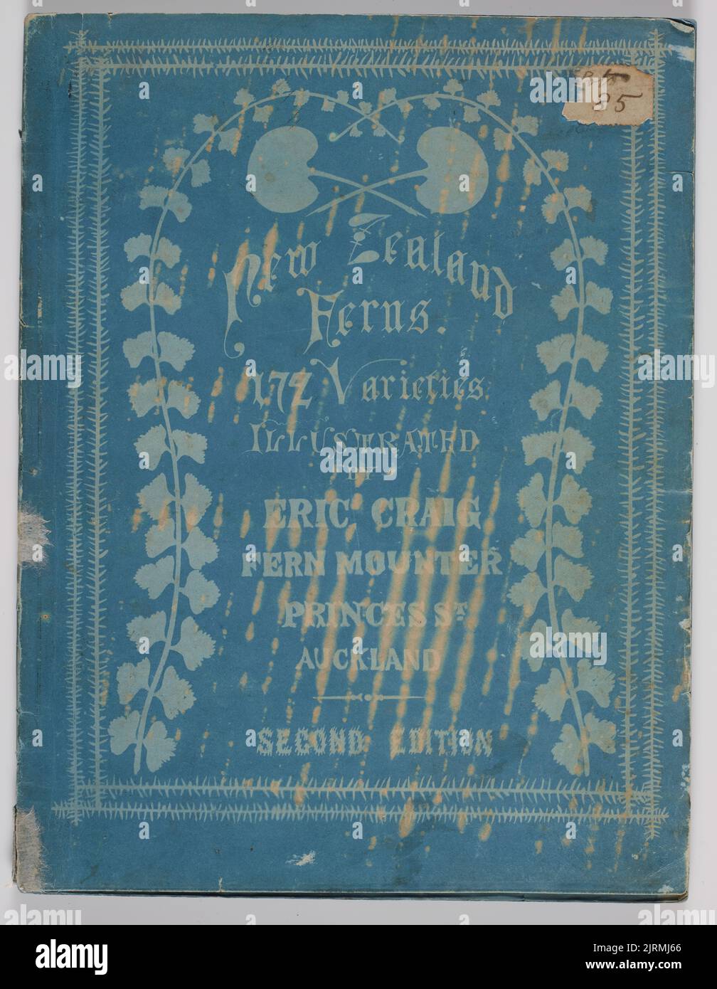 New Zealand ferns. 172 varieties, 1892, Auckland, by Eric Craig ...