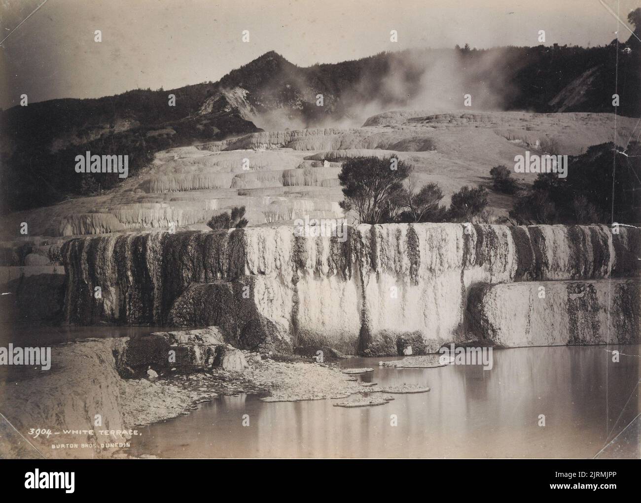 White Terrace, circa 1885, by Burton Brothers Stock Photo - Alamy