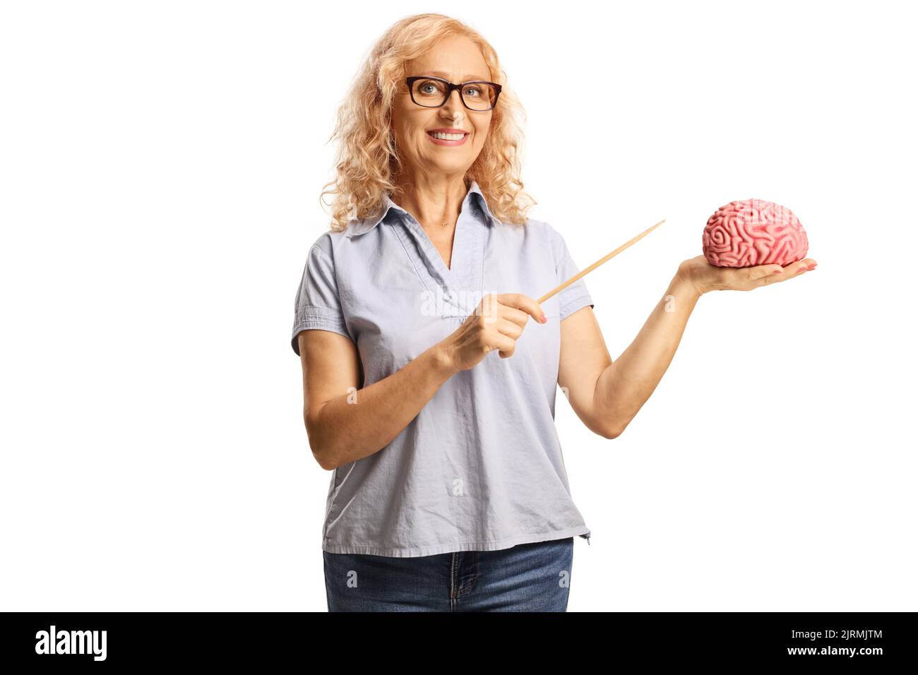 Casual woman holding a human brain and pointing with a stick isolated ...