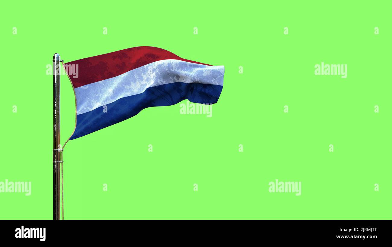 waving flag of Netherlands for anthem day on green screen, isolated ...