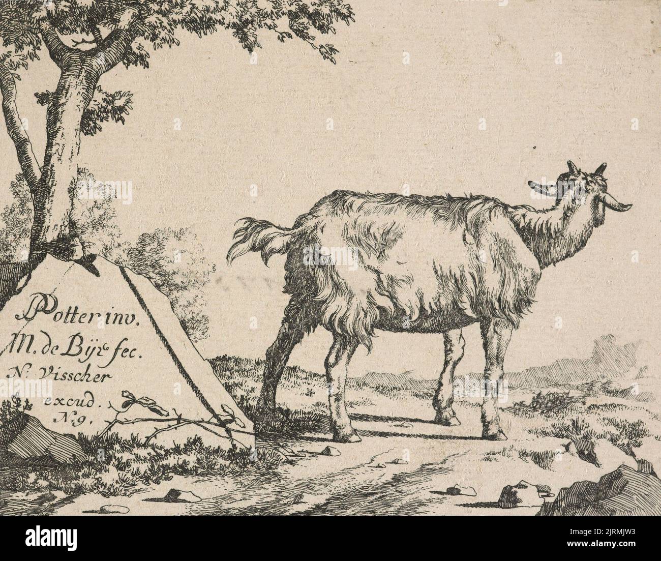 Goats: Plate 1: A goat standing in a landscape (frontispiece), Mid 17th ...