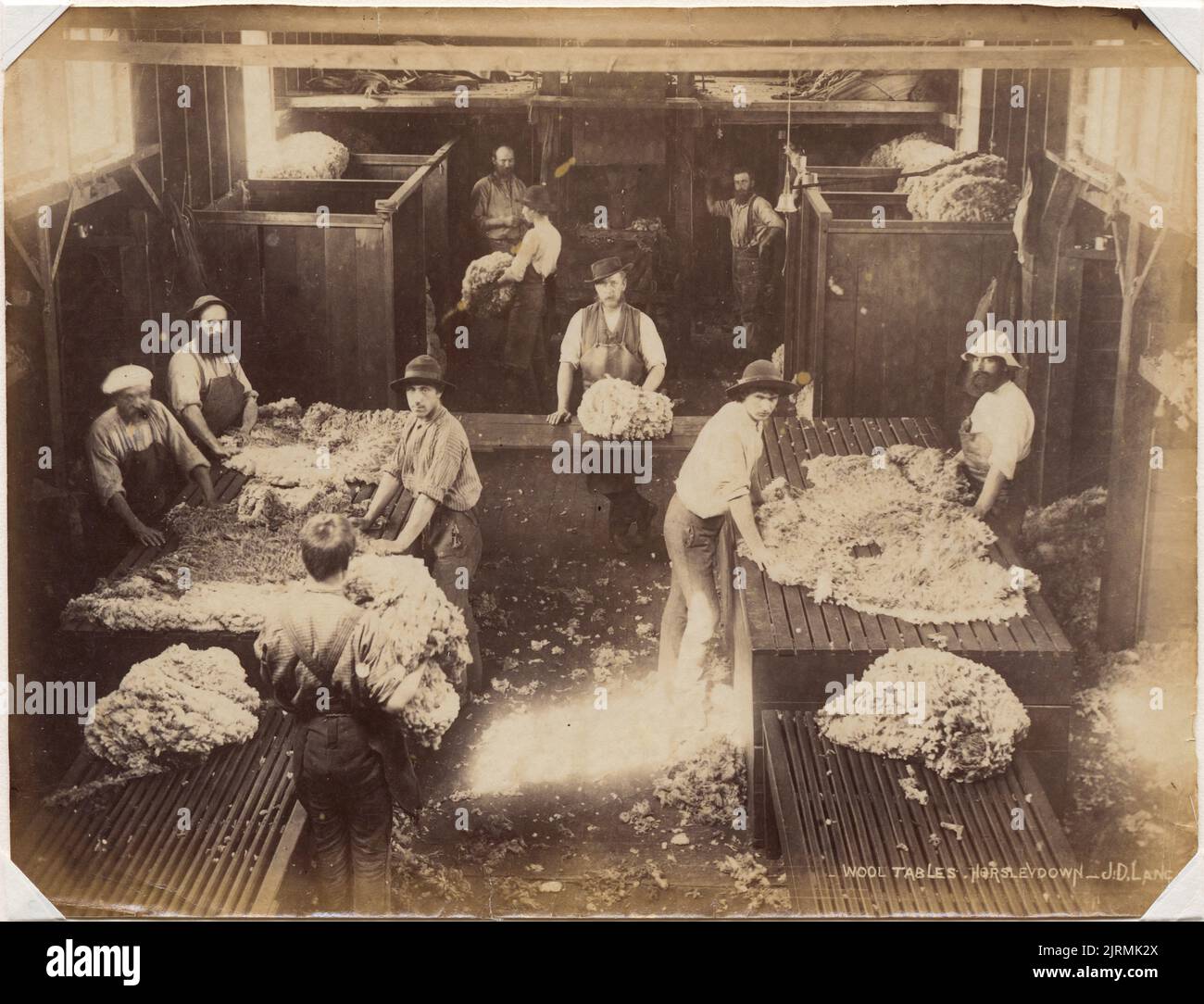 Wool tables, Horsley Downs - J.D.Lang Stock Photo - Alamy