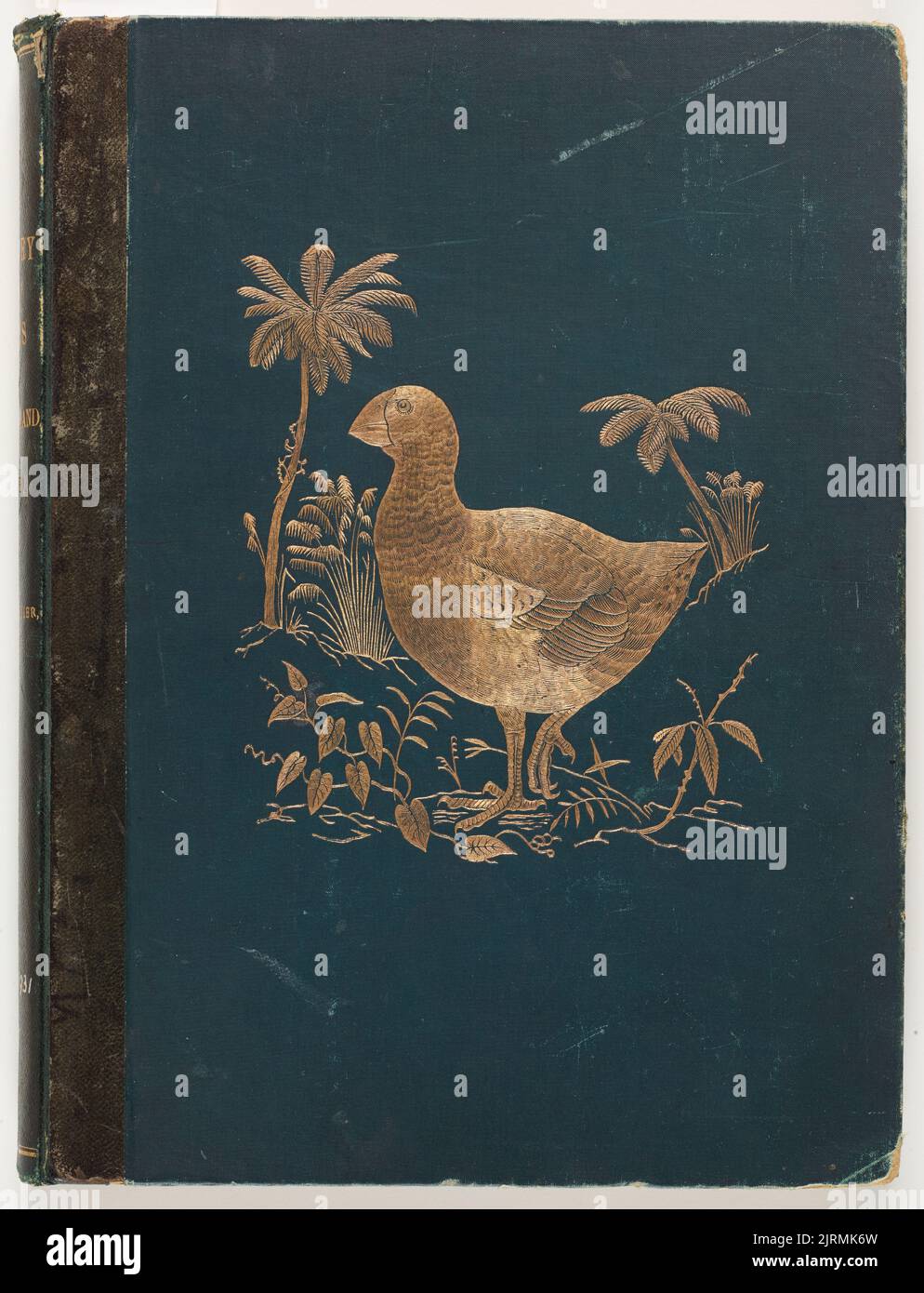 A history of the birds of New Zealand, 1888, London, by Sir Walter ...